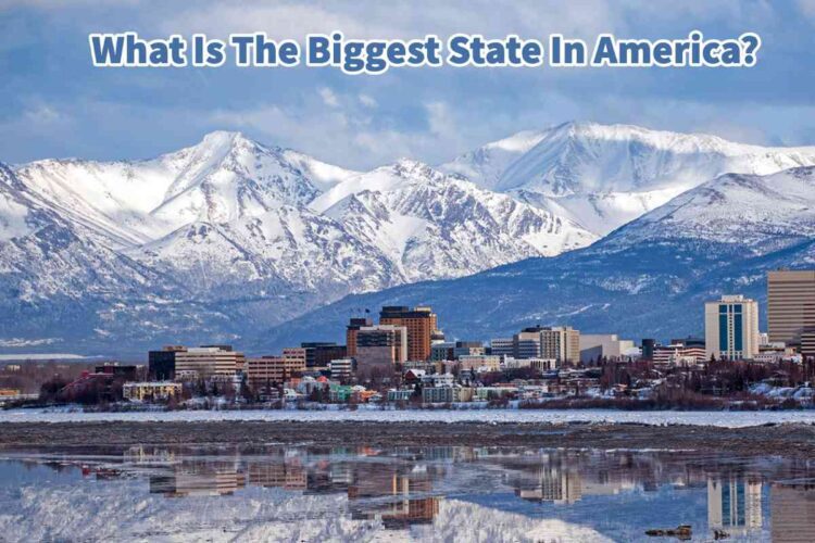 What Is The Biggest State In America? - A Bus On a Dusty Road