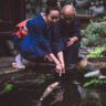 Why Koi Fish Are Considered Good Luck By The Japanese? - A Bus On a ...