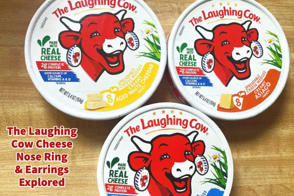 The Laughing Cow Cheese Nose Ring And Earrings Explored A Bus On A Dusty Road
