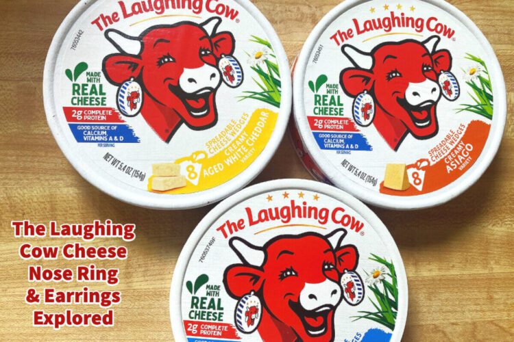 The Laughing Cow Cheese Nose Ring & Earrings Explored - A Bus On a ...