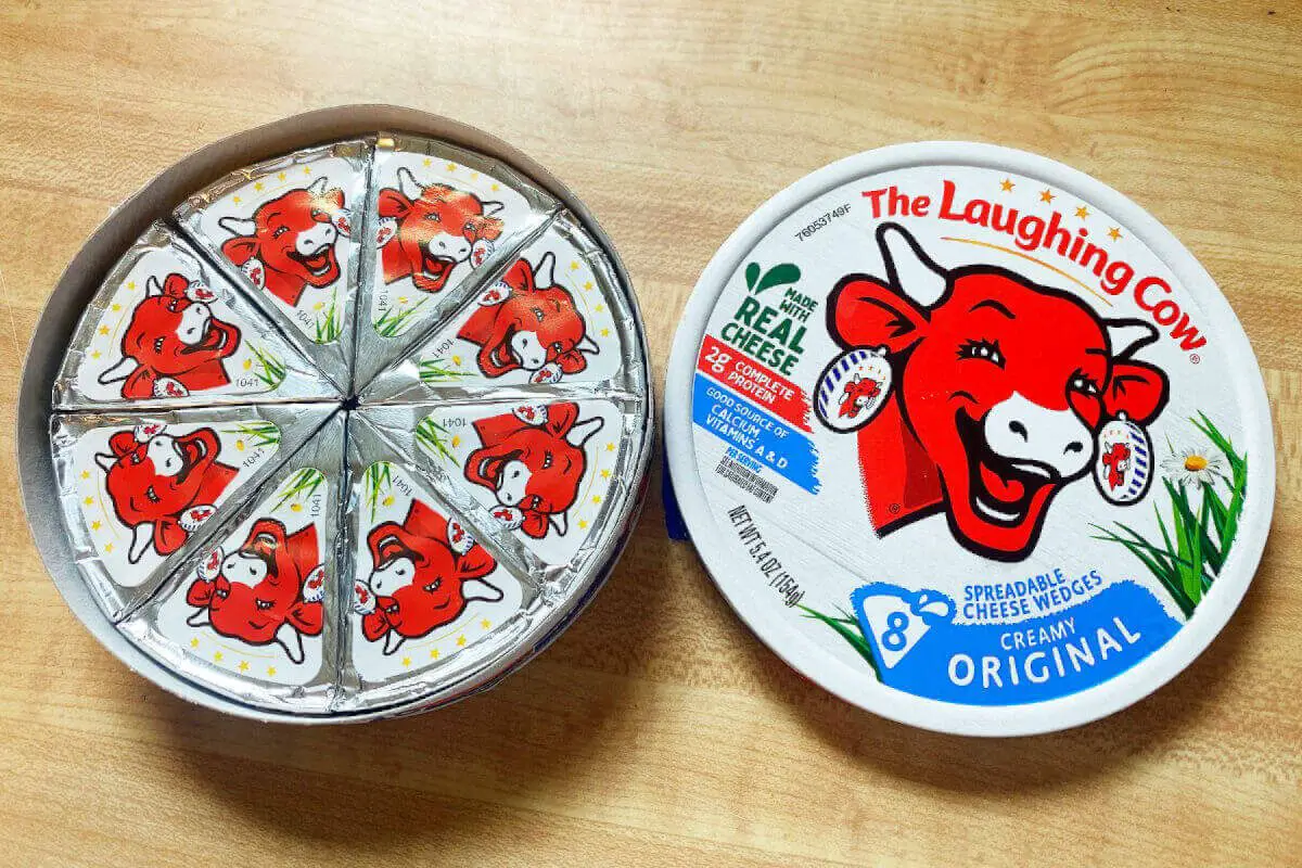 The Laughing Cow Cheese Nose Ring And Earrings Explored A Bus On A Dusty Road