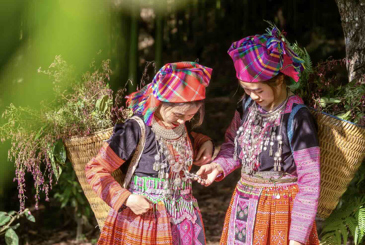 Forgotten Echoes of the Steppe: Unraveling the Shared Heritage of the ...